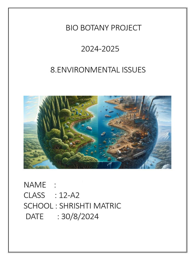 Bio Botany Project 2024-2025 8.environmental Issues | PDF