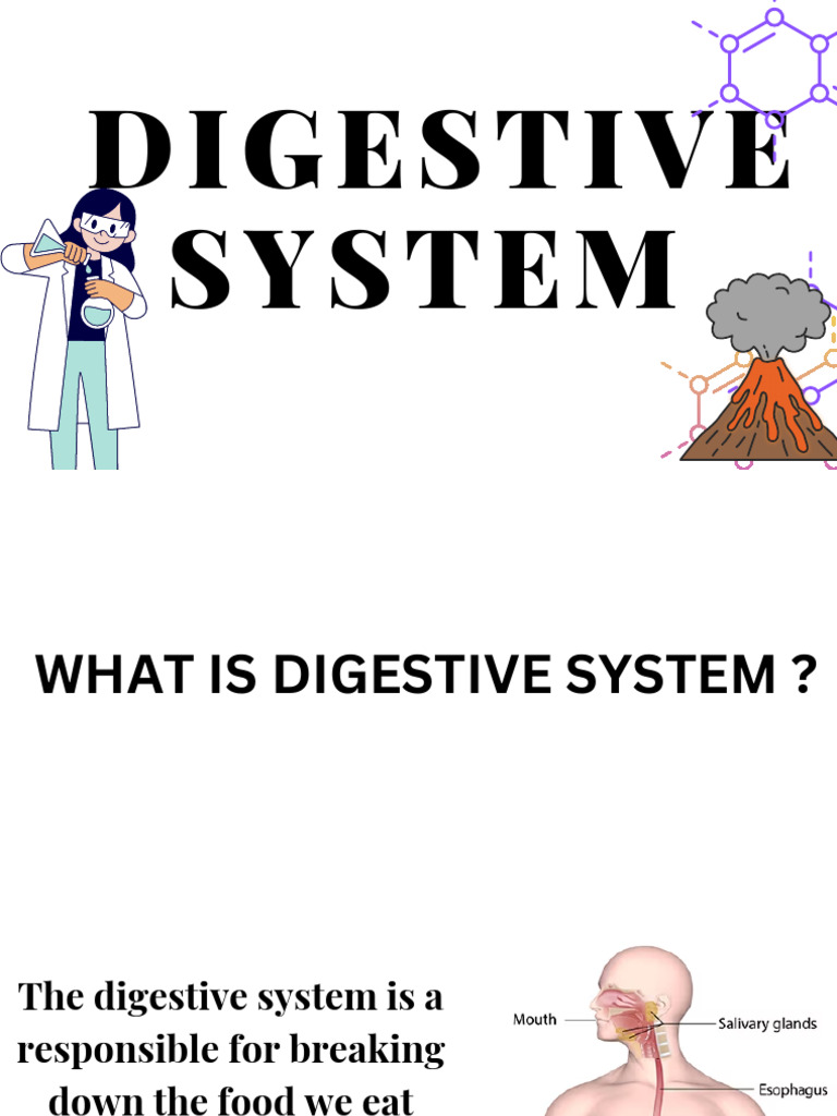 G8 Digestive System 1 | PDF