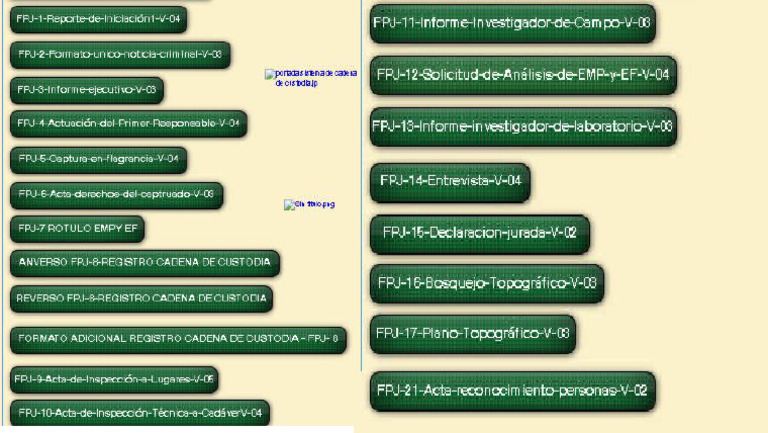 FPJ Formatos | PDF