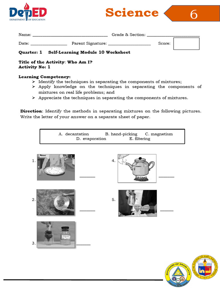 Science 6 - q1 - Dw10 | PDF