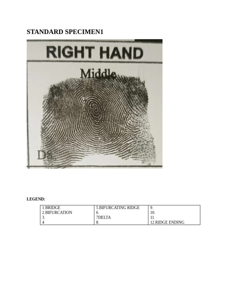 Fingerprint Comparison | PDF