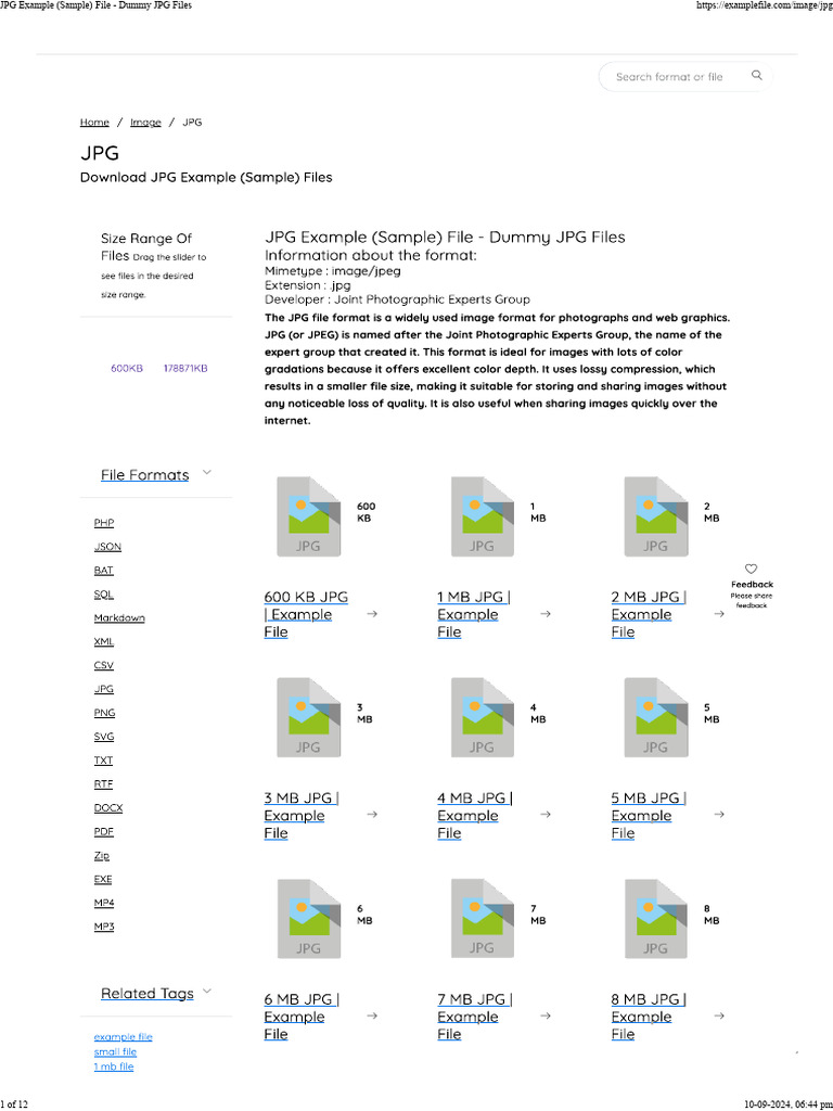 3 JPG Example (Sample) File - Dummy JPG Files | PDF