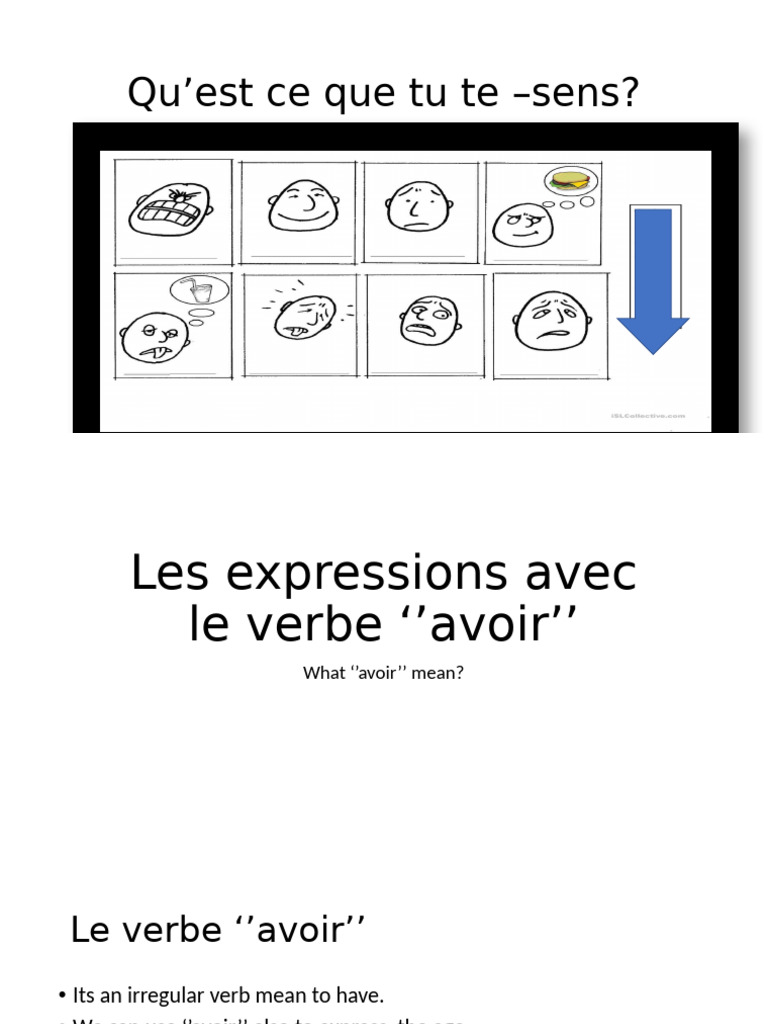 Les Expressions Avec Le Verbe''Avoir'' | PDF
