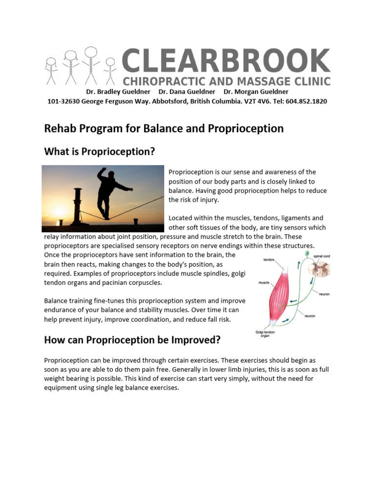 Balance-and-Proprioception-Exercises | PDF
