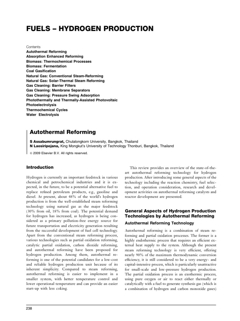 Assabumrungrat - Autothermal Reforming | PDF