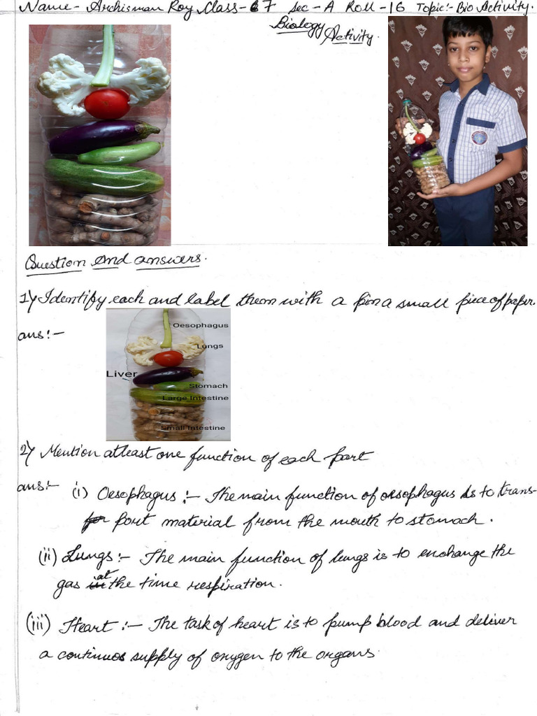 Biology Activity | PDF