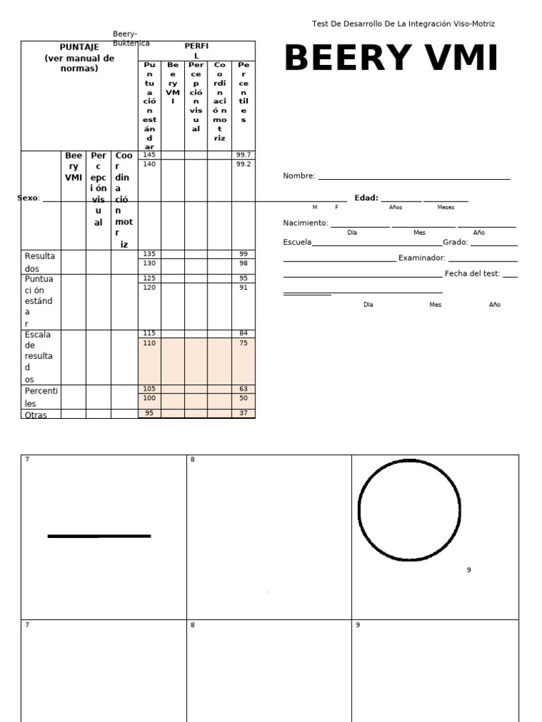 Vmi Completo Formto Aplicacion 1 | PDF