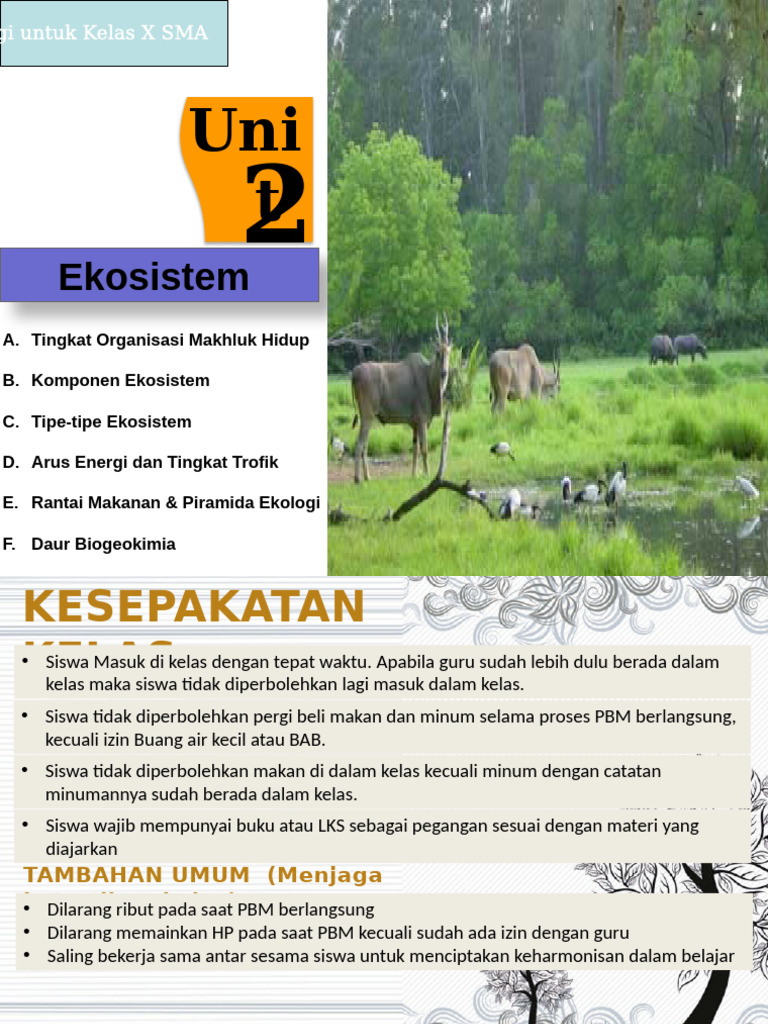 Eko Sistem | PDF