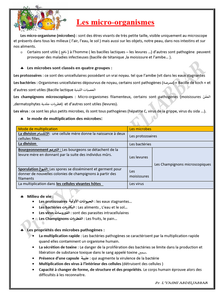Micro Organismes 3ac | PDF