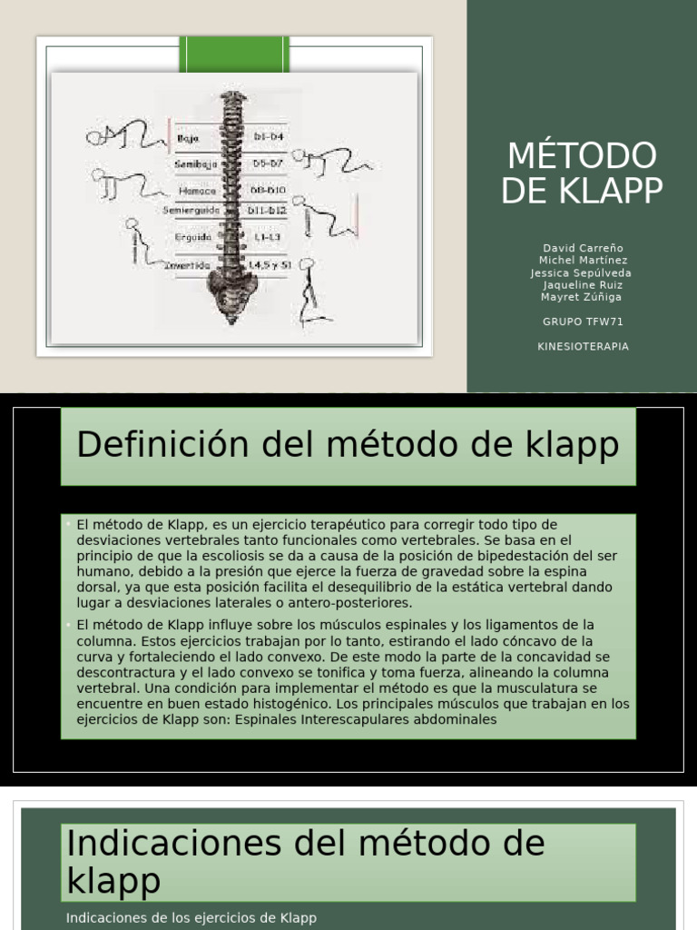 Método Klapp: Ejercicios para Escoliosis | PDF | La columna vertebral ...