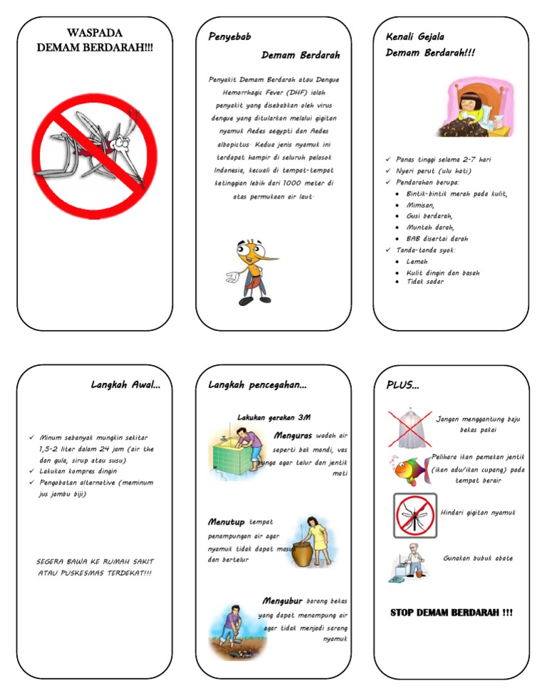 Leaflet Pencegahan Demam Berdarah | PDF | Kesehatan Holistik