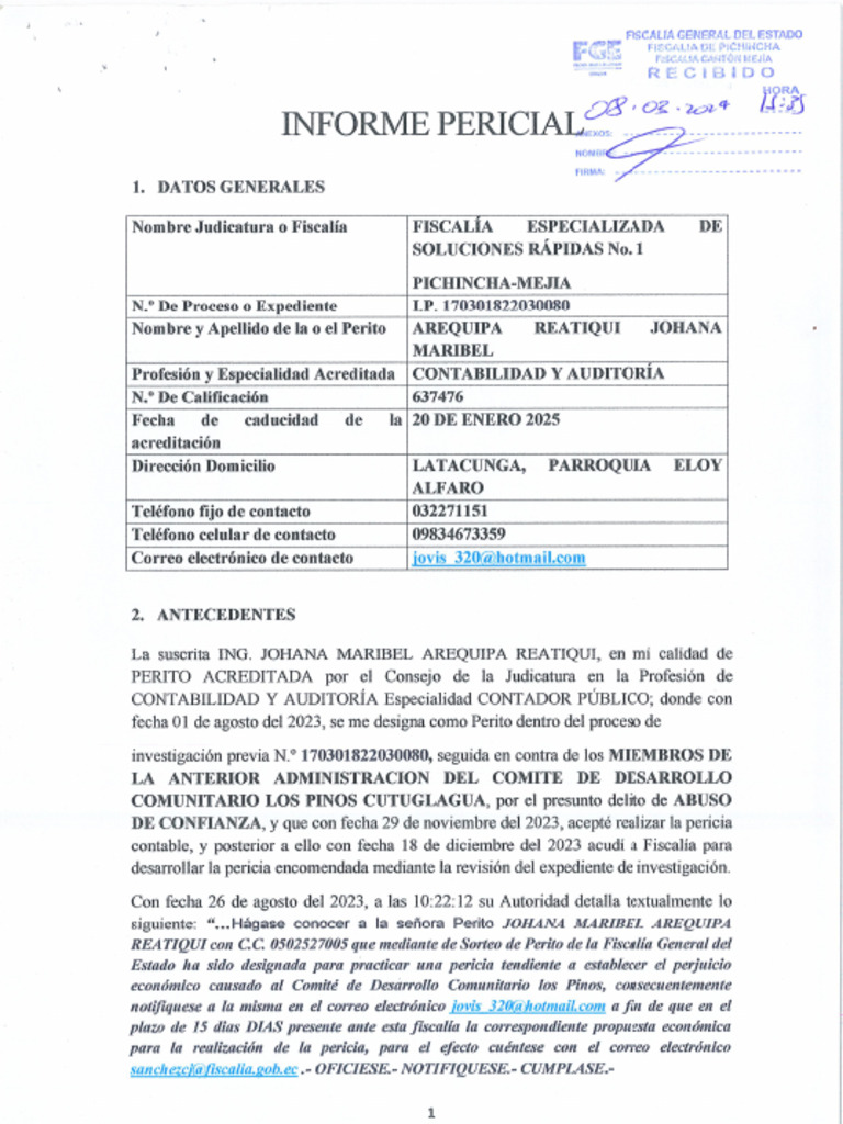 Informe Perito | PDF