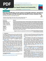 Lesson Plan - DNA Replication (REVISED) | PDF | Dna Replication | Dna