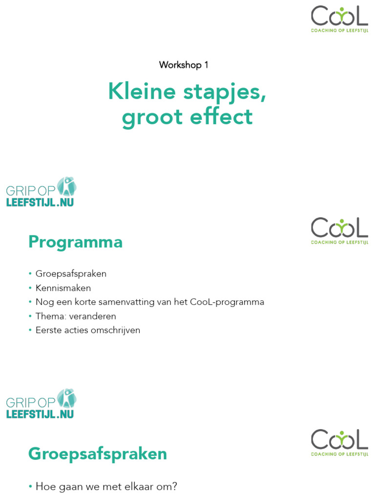 Presentatie Kleine Stapjes, Groot Effect 13 Sept | PDF