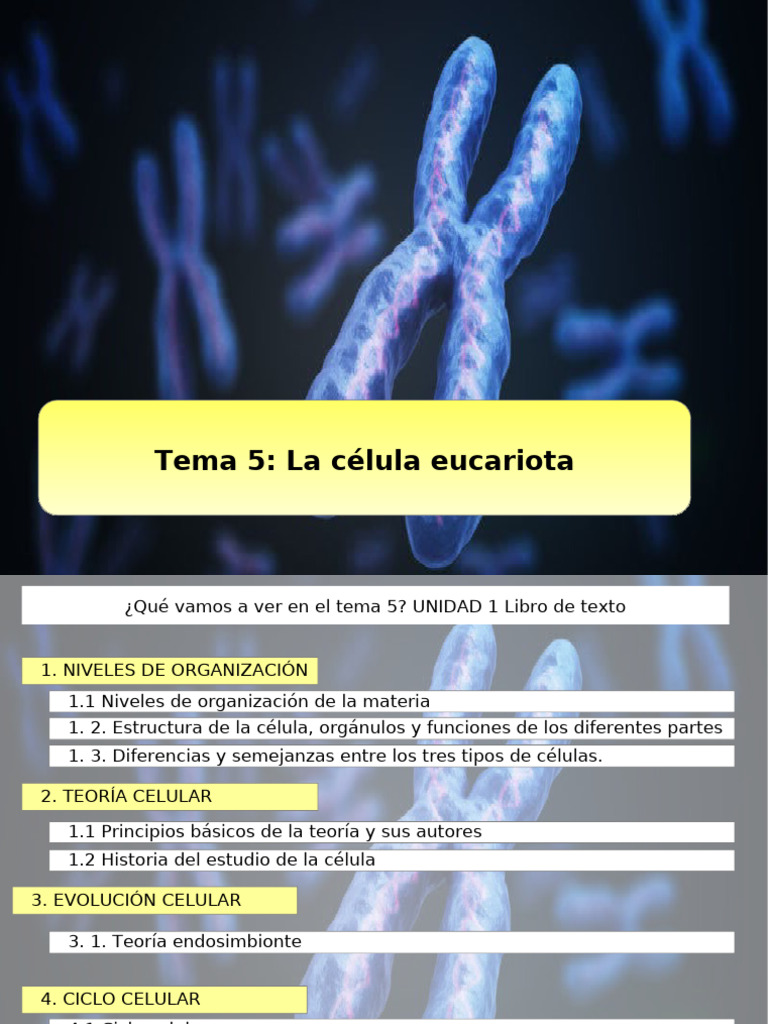 TEMA 5 La Célula 1º Parte 2023 24 | PDF