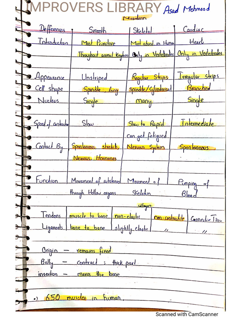 Support and Movement (Asad) | PDF