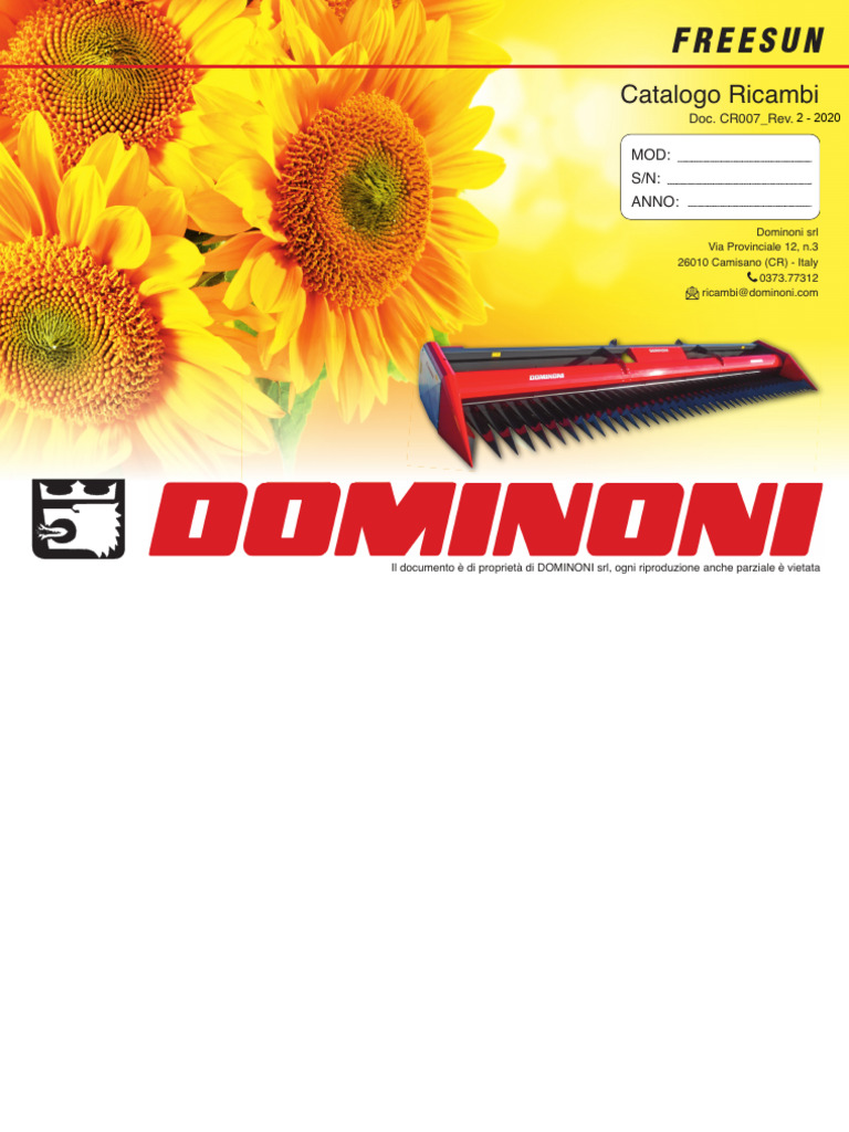 Free Sun (2020) | PDF