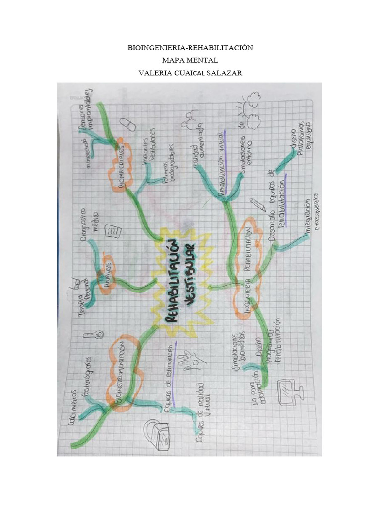 MapaMental Bioingenieria | PDF