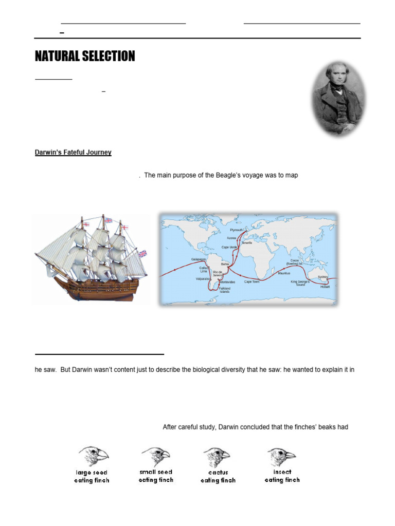 Natural Selection | PDF