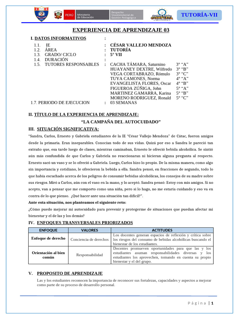 EXPERIENCIA DE APRENDIZAJE 03 Ciclo VII | PDF