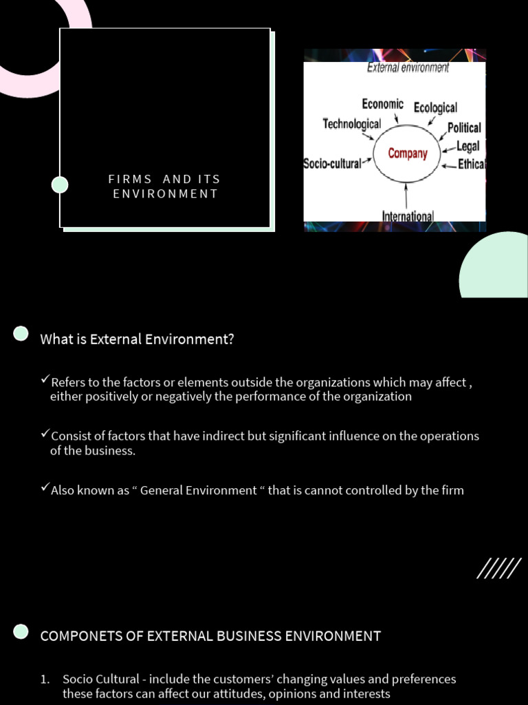 External Environment | PDF