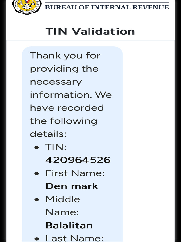TIN Validation | PDF