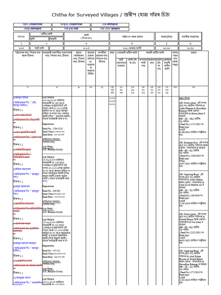 Chitha For Surveyed Villages | PDF