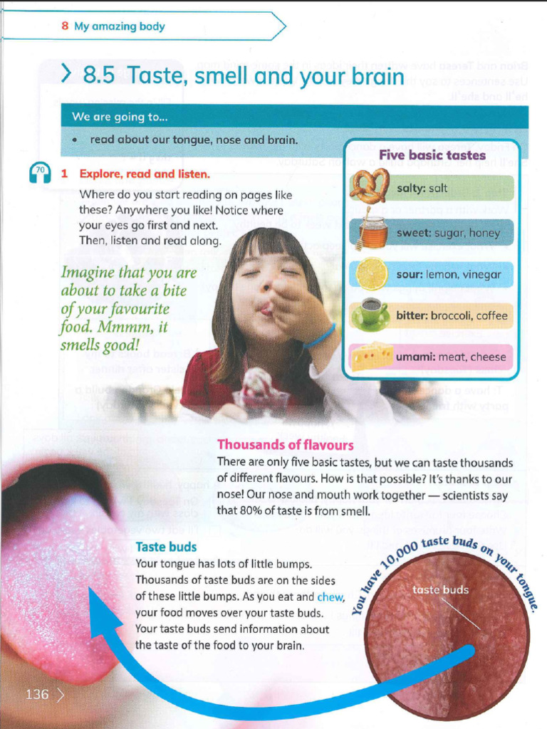 8.5. Taste, Smell and Brain | PDF