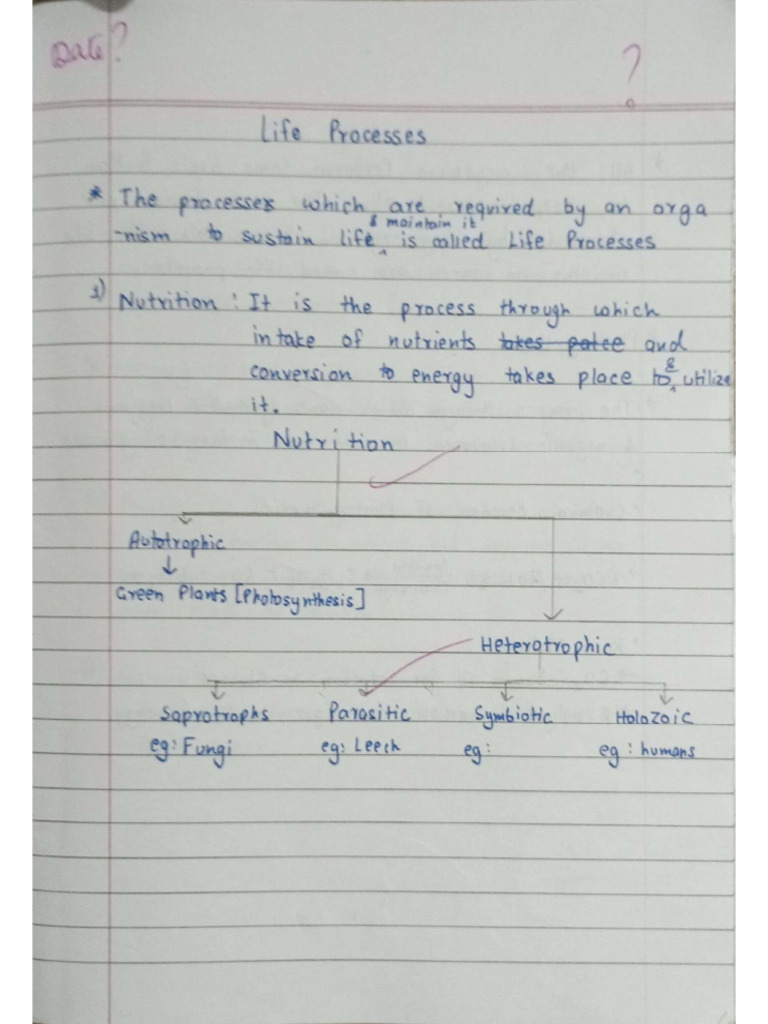 cLASS 10 NCERT CHAPTER 1 NOTES | PDF