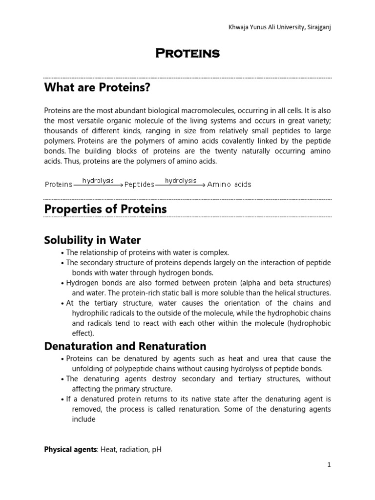 Proteins chapter | PDF