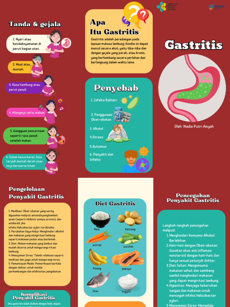 Gastritis Leaflet | PDF