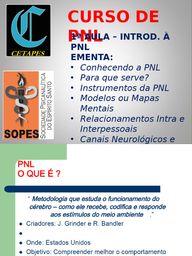 AULA PNL | PDF