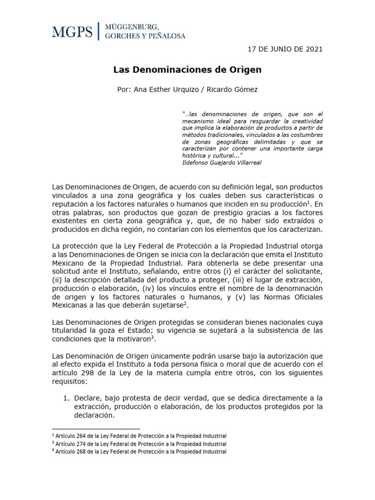 Articulo Sobre Las Denominaciones de Origen | PDF