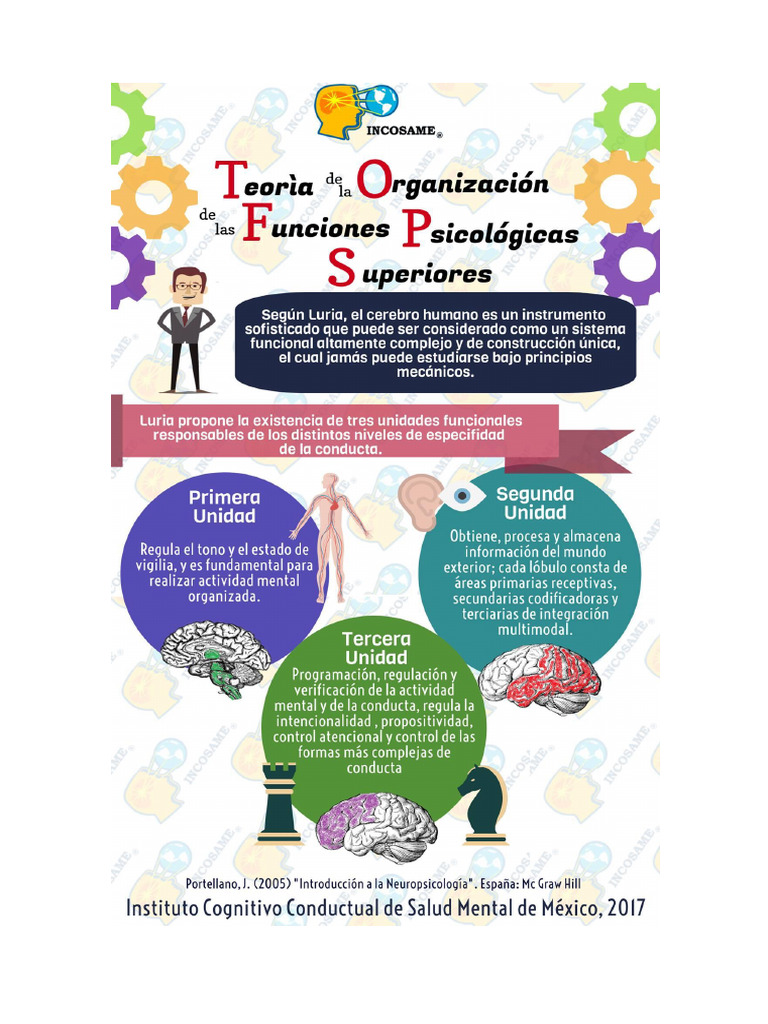 Org. Func. Psicologicas | PDF