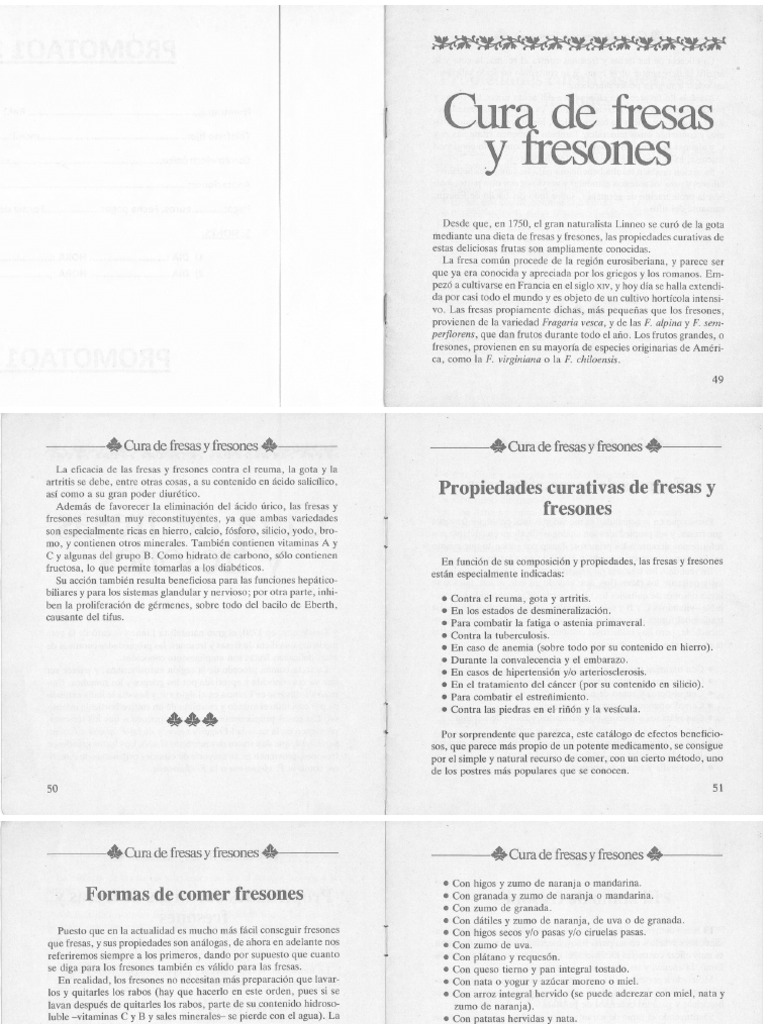 TAO Cura de Fresas y Fresones 1002 Red | PDF