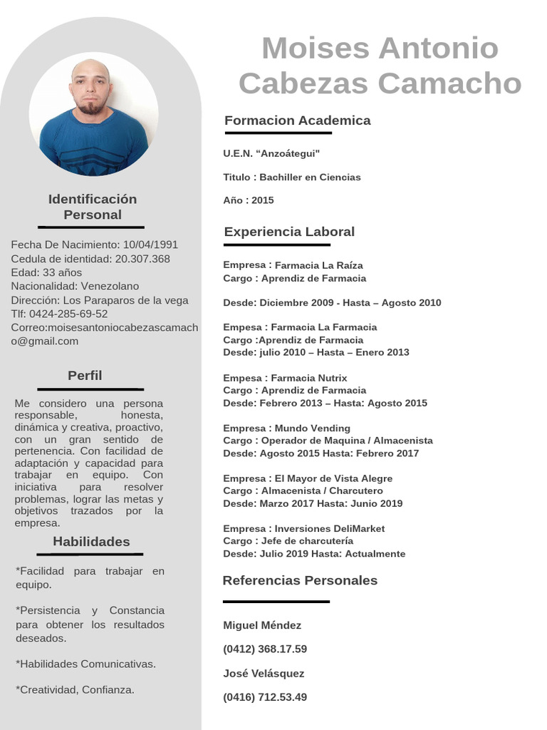 Curriculum de Moises | PDF