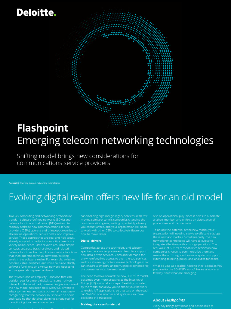 us-flashpoint-emerging-network-platforms | PDF