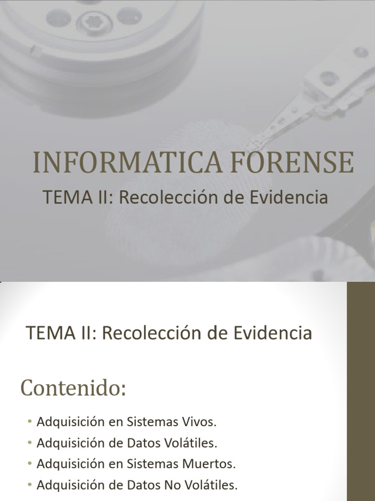 Tema II | PDF