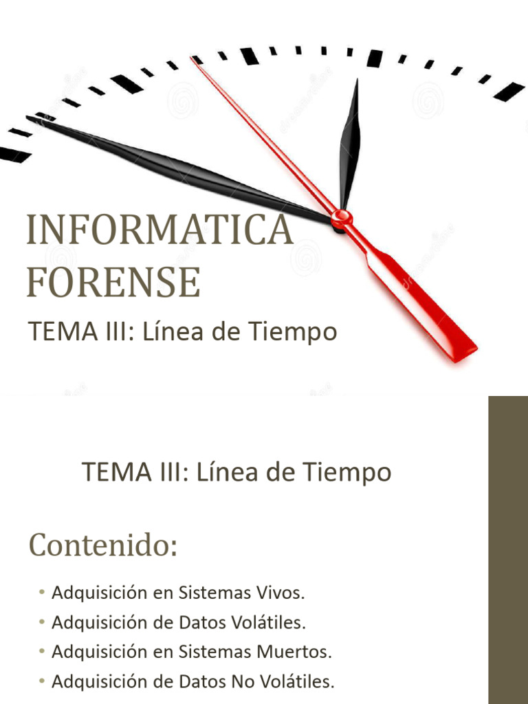 Tema III | PDF