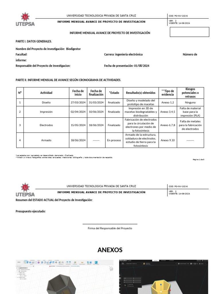 PO-INV-102-6 v2 Informe Mensual Avanace de P. Inv | PDF