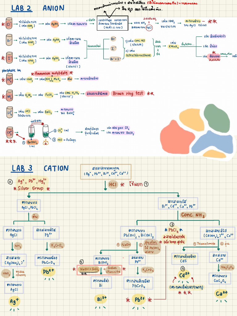 สรุปแลป Cation-Anion 230906 121130 | PDF