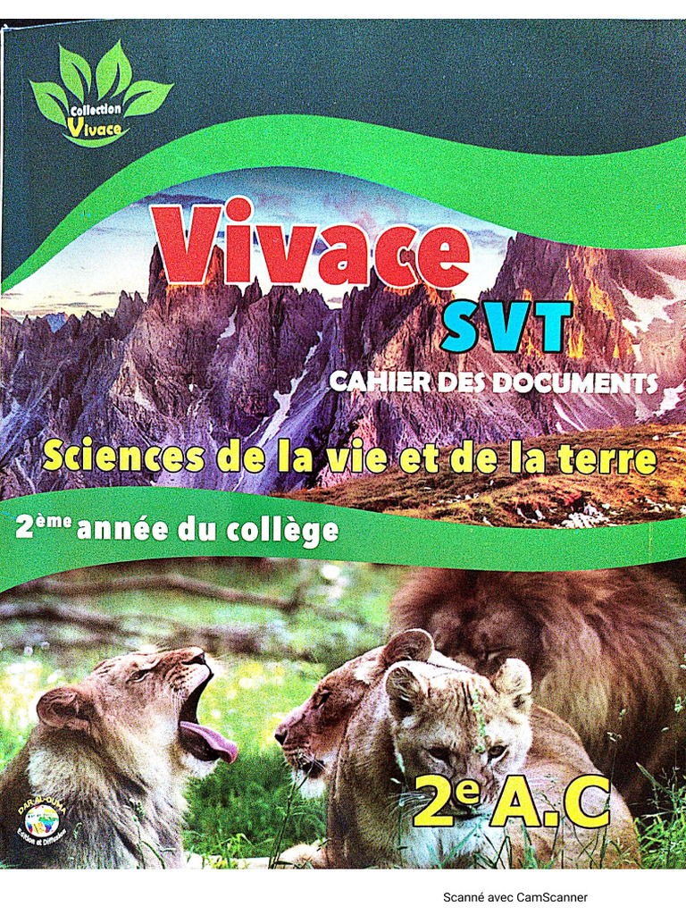Vivace 2AC | PDF