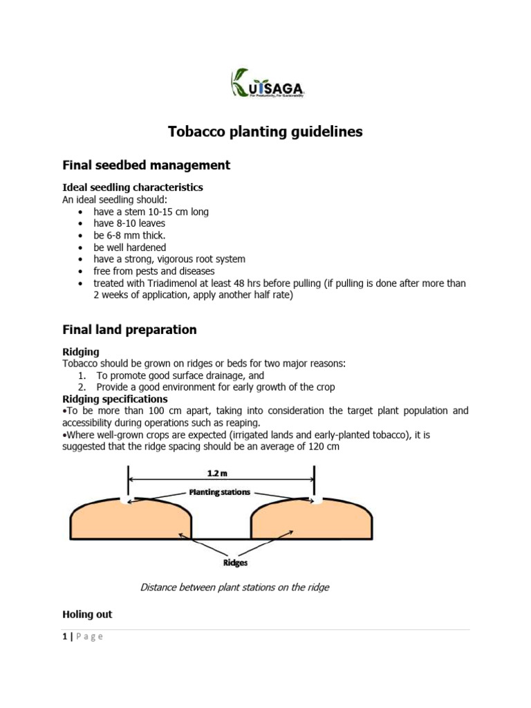 Tobacco Planting Guidelines | PDF