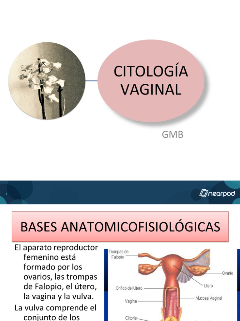 Citología Vaginal | PDF