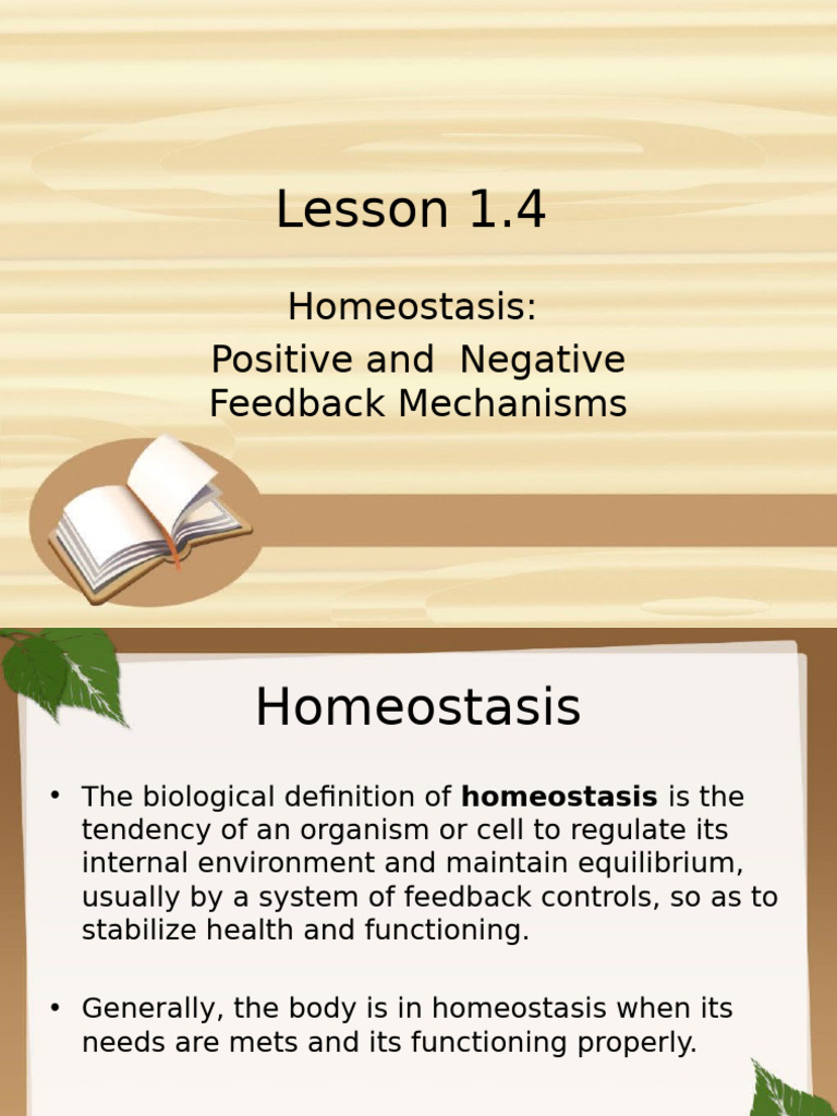 Grade 10 Homeostasis | PDF