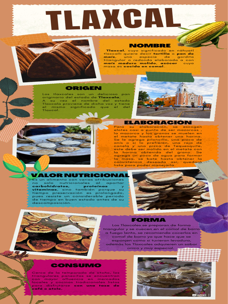 Infografia Tlaxcal | PDF | Maíz | Cocina, comidas y vino
