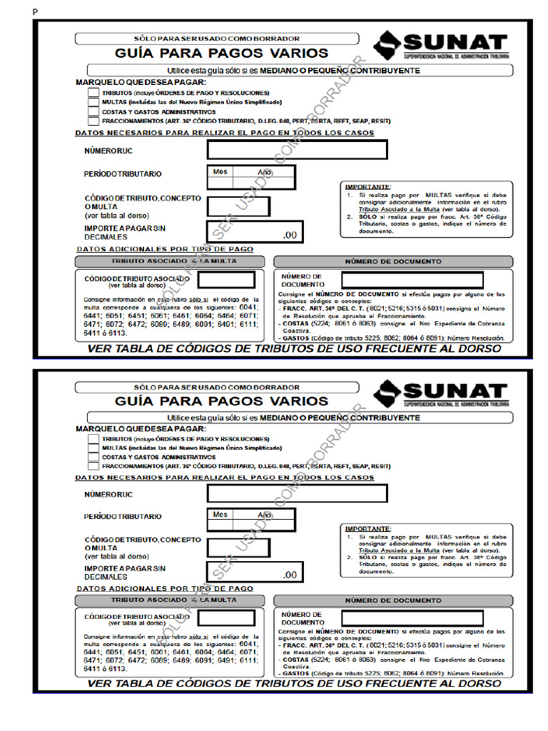 Formato Pagos Varios Pdf