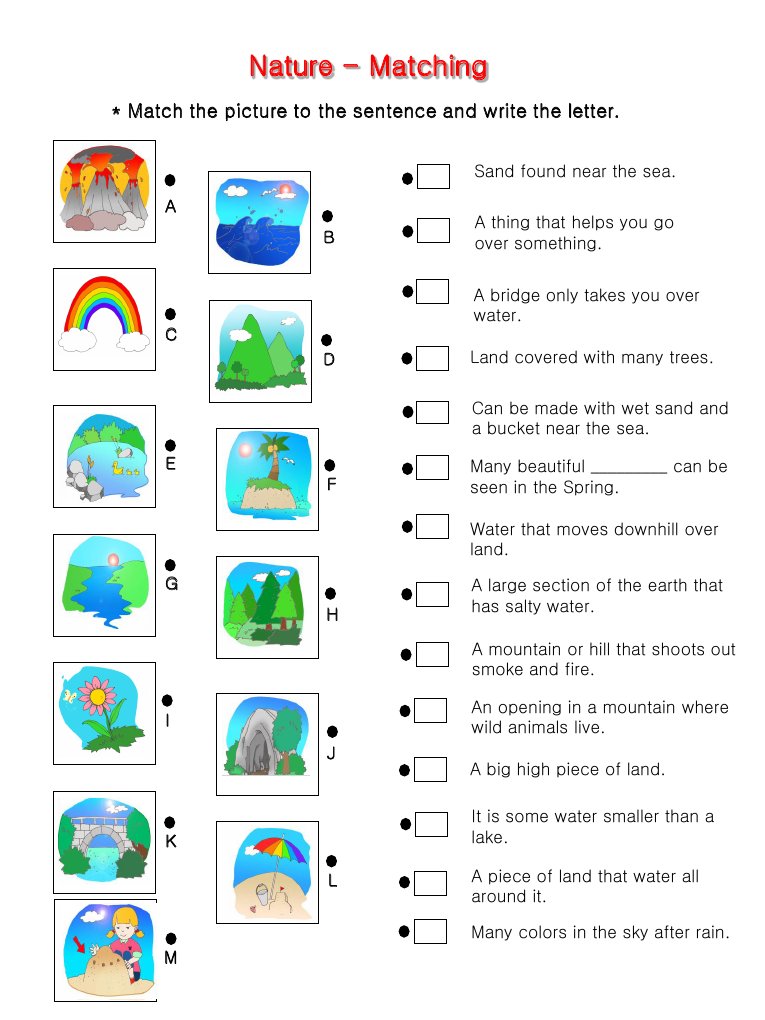 Nature Matching | PDF