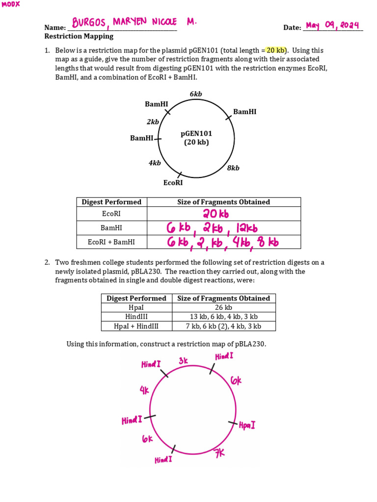 restriction_mapping_-_key 2 | PDF
