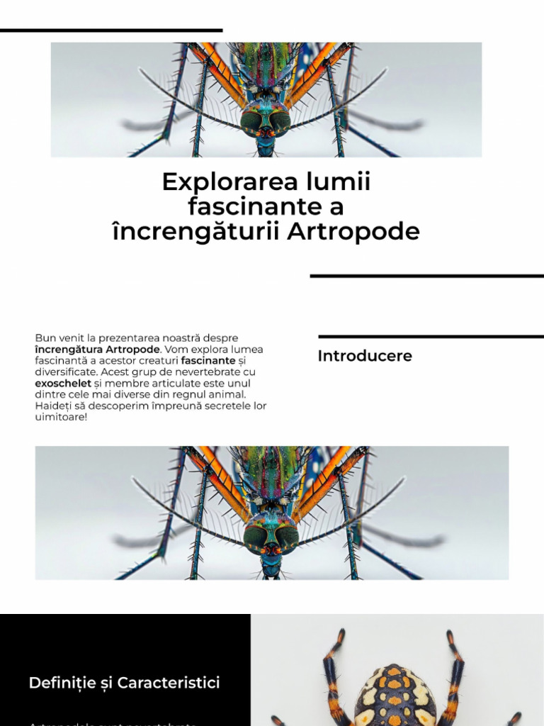 Prezentare (5) Ingrengatura Artropode | PDF